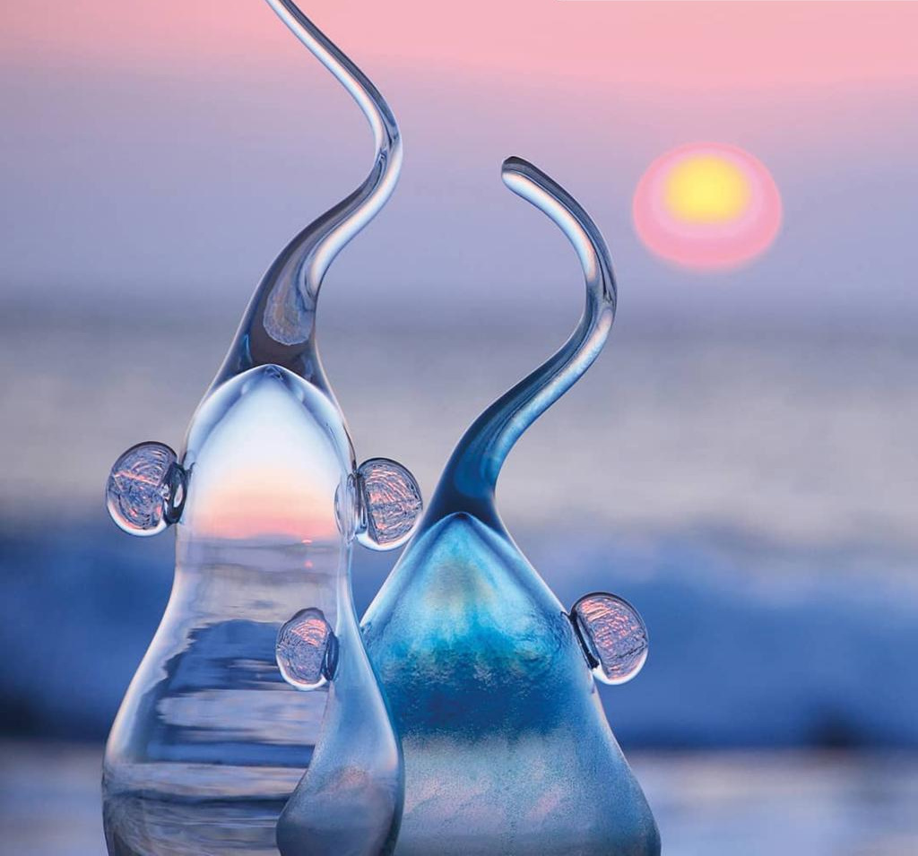 FSG Italia Summer Closure - Fsg Italia EN